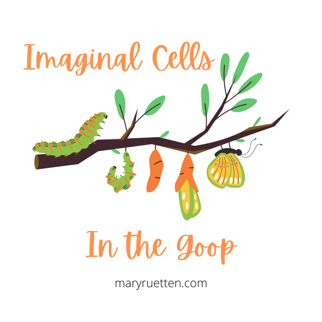 Mary RuettenLife Long-Learner * Teacher * Speaker * Reader *Writer ...